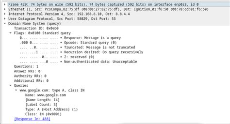 Lab Using Wireshark To Examine A UDP DNS Capture Answers