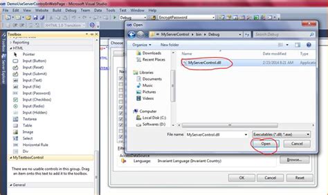 Aspnet Server Control