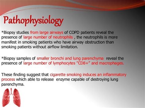 Copd Pathogenesis