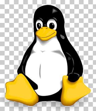 Linux Tux Logo PNG Clipart Arch Linux Beak Bird Computer Software