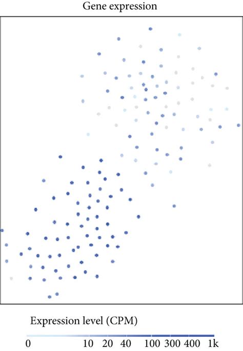 Spatial Transcriptome And Single Cell Sequencing The Spatial
