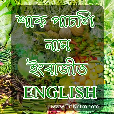 100 শাক পাচলিৰ নাম ইংৰাজীত Vegetables Name In Assamese And English