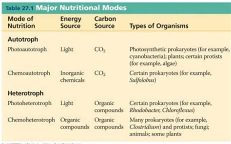 Bio Taxonomy Flashcards Quizlet