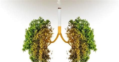 Вплив куріння на організм людини