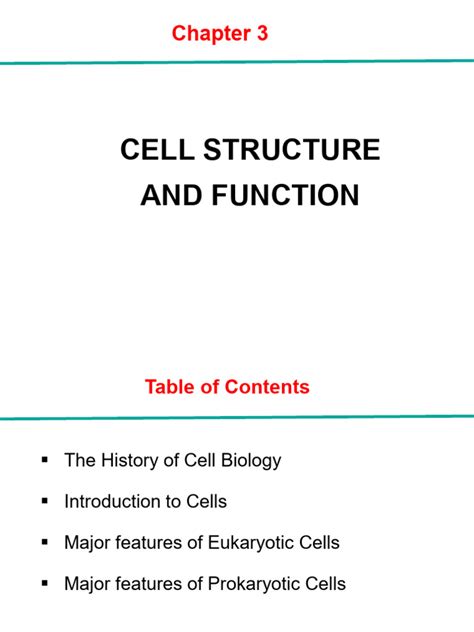 Chapter 3 Cell Structure Function Pdf Cell Biology Cell Membrane