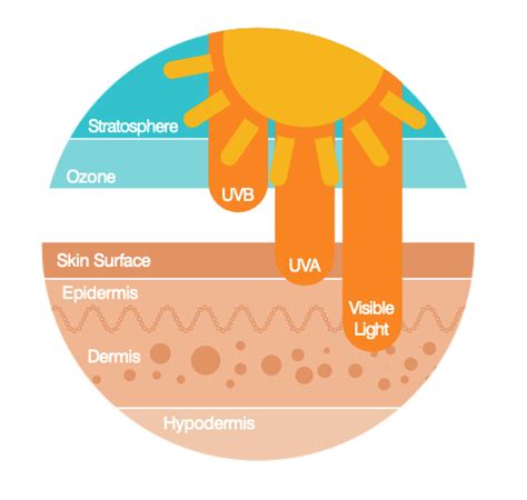 How Are UVA And UVB Rays Different COOLA