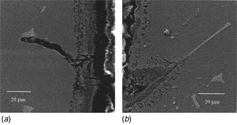 A… Crack Initiation At A Subsurface Carbide And B… Crack Initiation Download Scientific