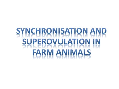 Synchronization And Superovulationpptx