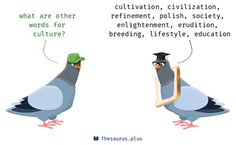 More 850 Culture Synonyms Similar Words For Culture