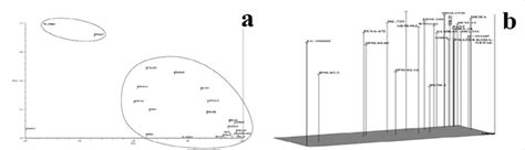 A Two Dimensional Principal Component Analysis B Three Dimensional
