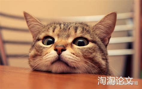 sci拒稿与拒稿重投的区别 知乎