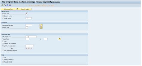 PC M CDTA SAP Tcode Payroll Transfer To Prel Prog DME