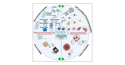 Self Assembly Of Peptides As An Alluring Approach Toward Cancer Treatment And Imaging Acs