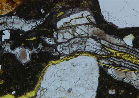 Carbonation Concrete Experts International