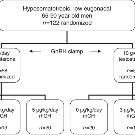 Randomization Schema Download Scientific Diagram