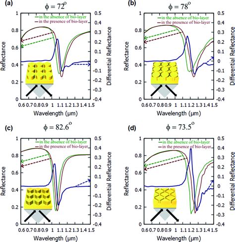 Reflectance And Differential Reflectance Spectra Of A A Cylindrical