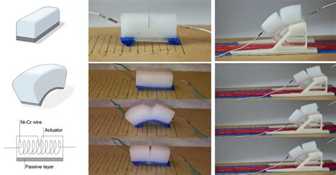 Soft Actuator Creative Machines Lab Columbia University