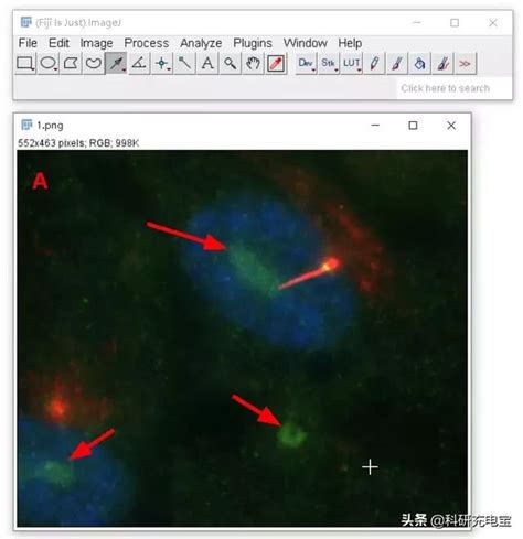 Html怎么在图片上添加文字image J基础操作:给图片添加文字和标注 Csdn博客 Html怎么在图片上添加文字image J基础操作:给图片添加文字和标注 Csdn博客