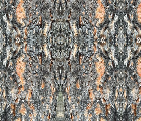 Tree Bark Fabric Mommabear136 Spoonflower