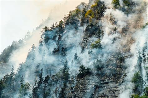 Forest Fire Detection Using Iot And Co2 Sensors Manx Technology Group