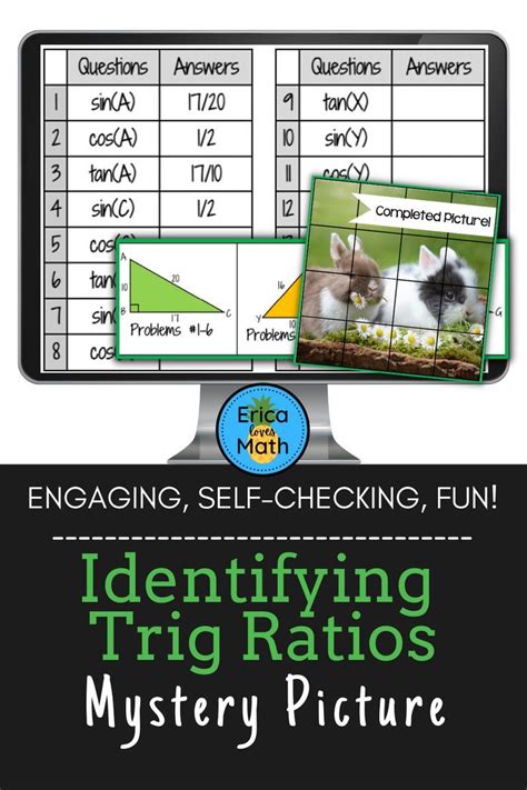 Identifying Trig Ratios Digital Mystery Picture Activity Digital Activities Mystery Pictures