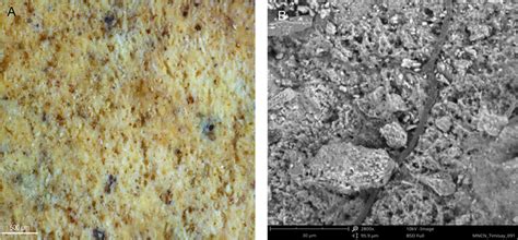 Oro091 The Second Type Of Sample Had Consistent Topography And Surface Download Scientific