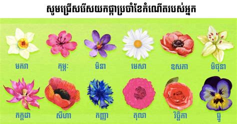 ផ្កាសំណាង រើសផ្កាតំណាងខែកំណើតរបស់អ្នក តើអ្នកជាមនុស្សសុទិដ្ឋិនិយមយ៉ាងណាសម្រាប់មនុស្សជុំវិញខ្លួន