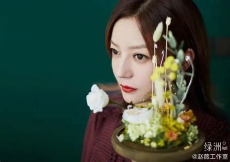 Zhao Wei Accused In Shocking Human Trafficking Scandal—legal Battle Begins