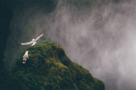 Basic Content Data Limited Methods Toolkit Dlmtool Management Strategy Evaluation For Data