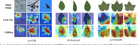 Learning Contrastive Self Distillation For Ultra Fine Grained Visual Categorization Targeting