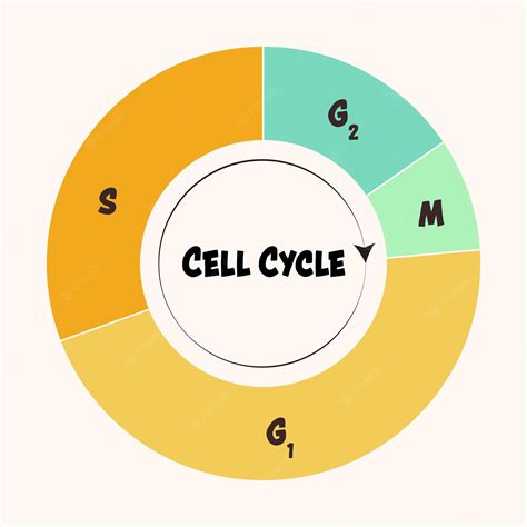 Ap Biology Unit 4 Review 9th 12th Grade Flashcard Quizizz