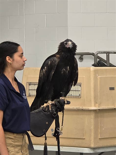 Arrowpoint Elementary Arrowpoint Elementary School