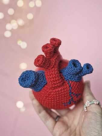 Crochet Anatomical Heart Amigurumi Pattern