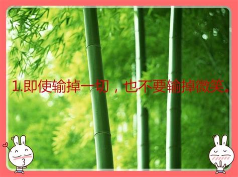 保持一個陽光的心態 每日頭條