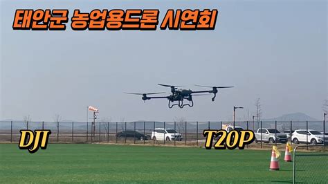 농업용드론 충남 태안군 농업용드론 시연회12 Dji T20p Drone Korea 방제드론 농업용드론 농약드론