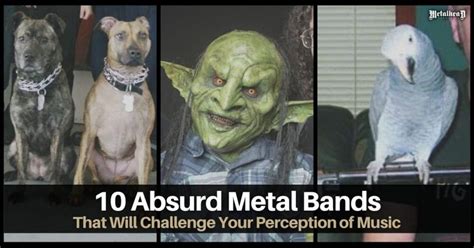 10 Absurd Metal Bands That Will Challenge Your Perception Of Music