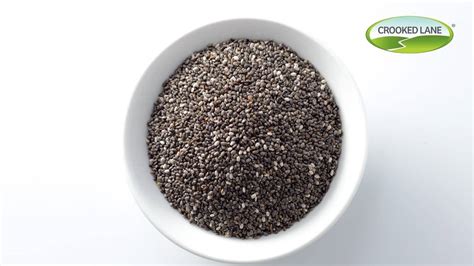 Why Chia Seeds Are A Superfood For Pets Crooked Lane
