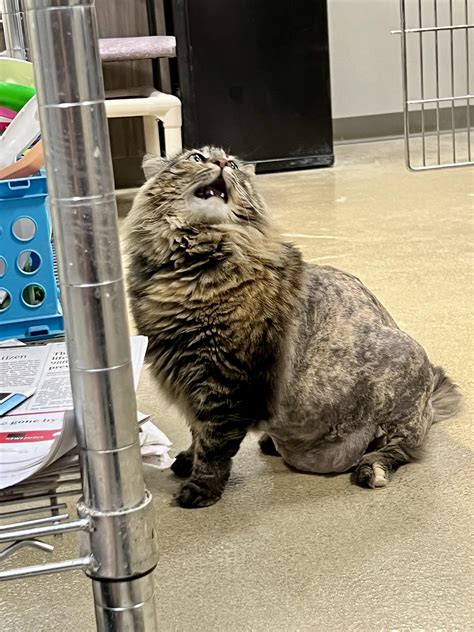 Best Willa Images On Pholder Flarrow Porn Gentlemanboners And Succession Tv