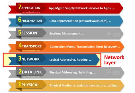 Osi Model In Networking Osi Model Layers And Their