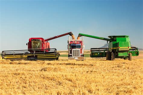 How To Merge Field Operation Data With Leaf