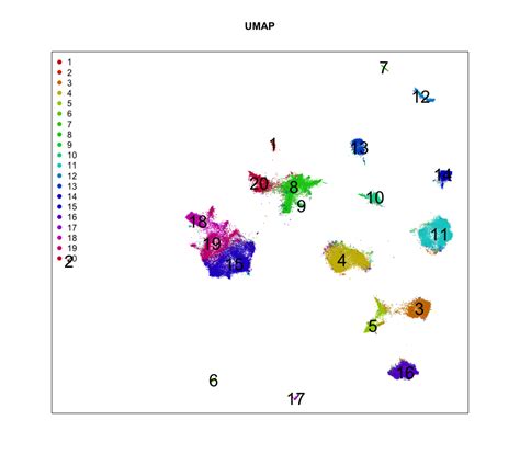 Jefworks Lab Complementing Single Cell Clustering Analysis With