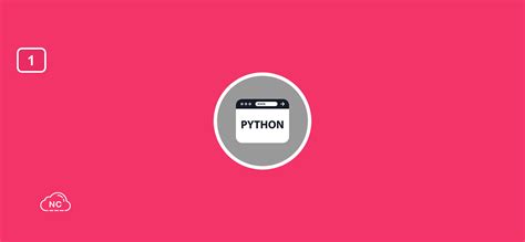 Como Leer Una Api Con Python