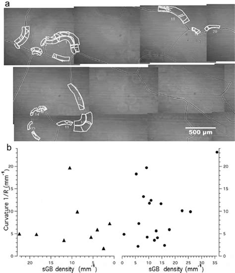 Evolution Of Ice Crystal Microstructure During Creep Experiments Journal Of Glaciology