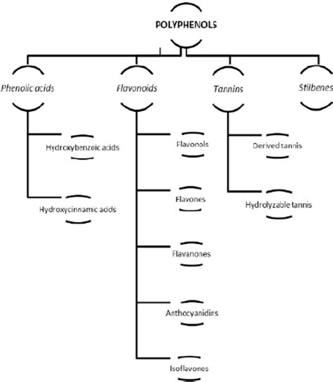 Main Classes Of Polyphenolic Compounds Download Scientific Diagram