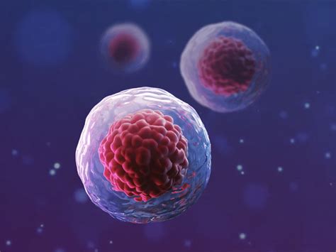 Overcoming Cell Separation Challenges To Advance Stem Cell Therapy
