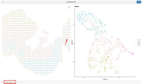 Some Questions In Spatial Transcriptome Analysis Issue Satijalab Seurat Github