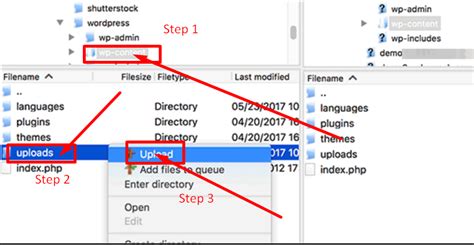 How To Reinstall Wordpress 4 Best Methods To Follow 2021