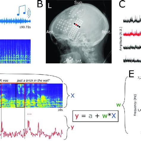 Protocol Data Preparation And Encoding Model Fitting A Top Download Scientific Diagram