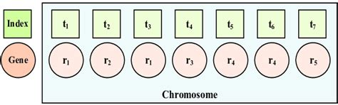 Chromosome Structure For The Evolutionary Algorithm Download Scientific Diagram