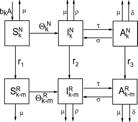The Schematic Diagram Of The Complex Network Model The Population Of Download Scientific
